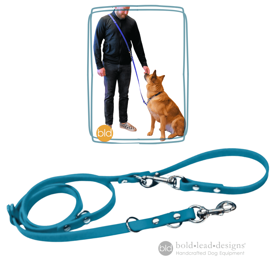 Brahma 8-Way Lead™ - versatile vegan dog leash (6 or 8 feet long ...