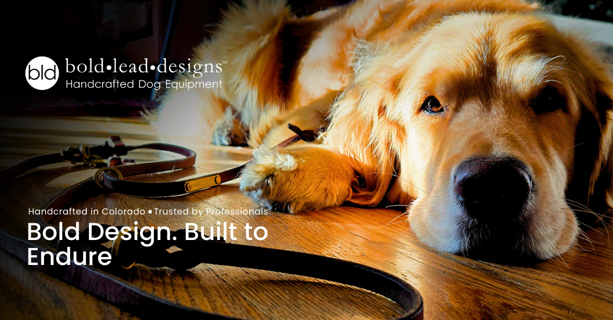 Tabs and Traffic Leads – Bold Lead Designs