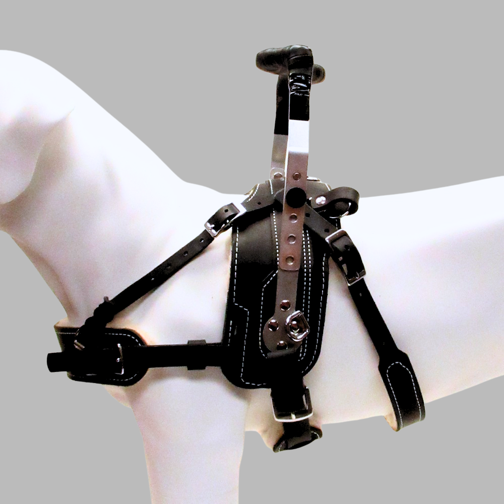Mobility Support Harness™ for brace and balance stability assistance ...